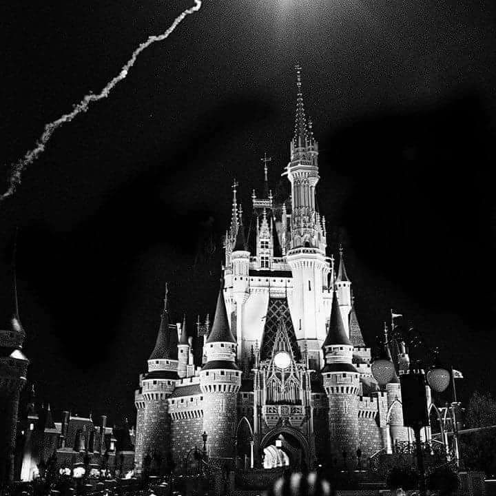 Disney Raffle Tickets – Rally Together With Jennifer